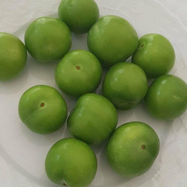 Yeşil eriğin kalorisi kaç? Faydaları neler? Diyette yeşil erik yenir mi?