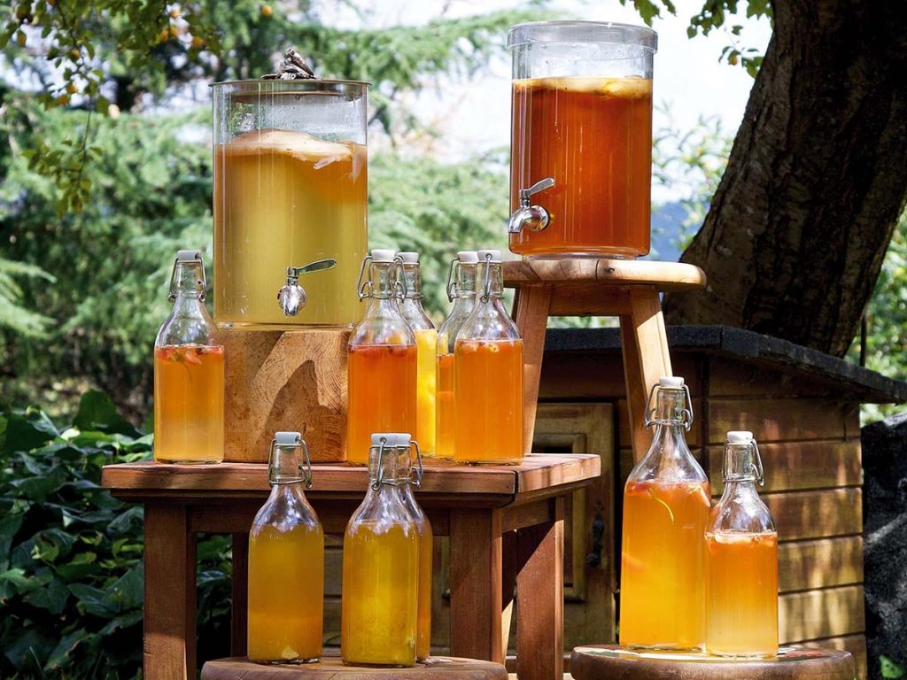 Şerife Aksoy’un mutfağından Fermente içecekler - Formsanté