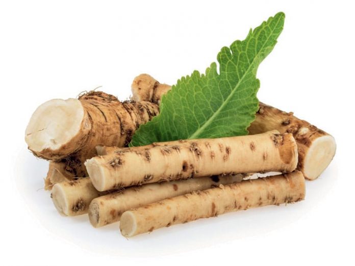 Yaban turpu ne işe yarar, nasıl kullanılır? Faydaları nelerdir?