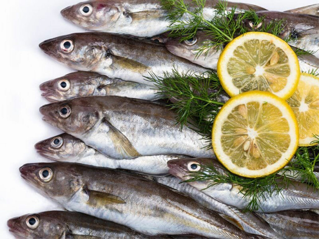 Eti çok lezzetli! İşte mezgit balığının faydaları ve besin değeri