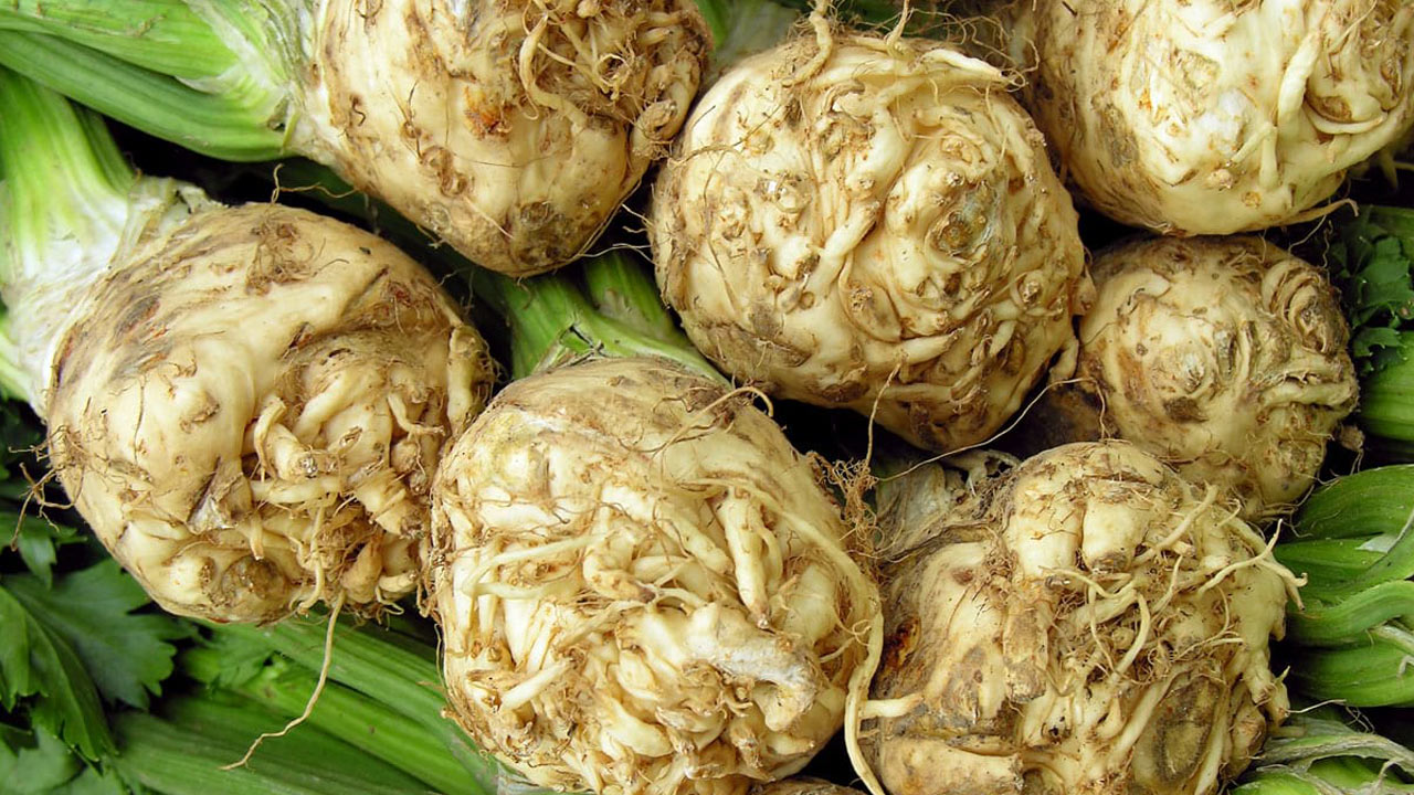 Kerevizin faydaları nelerdir? Hangi hastalıklara iyi gelir?